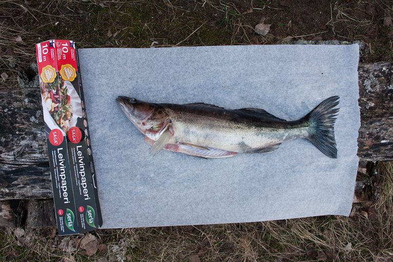 Kokonaisena grillattu kuha - KALABLOGI